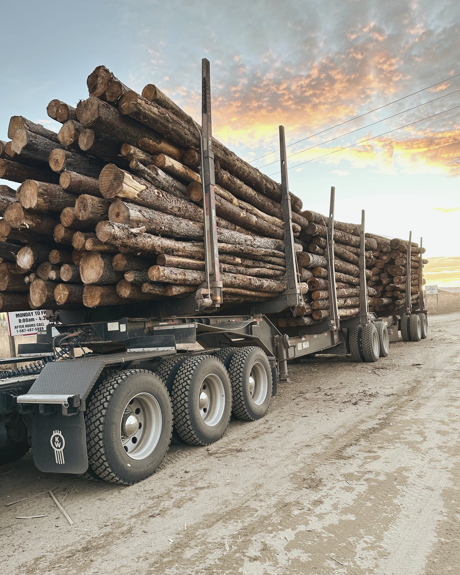 Our Wood | Southern Wood Supply