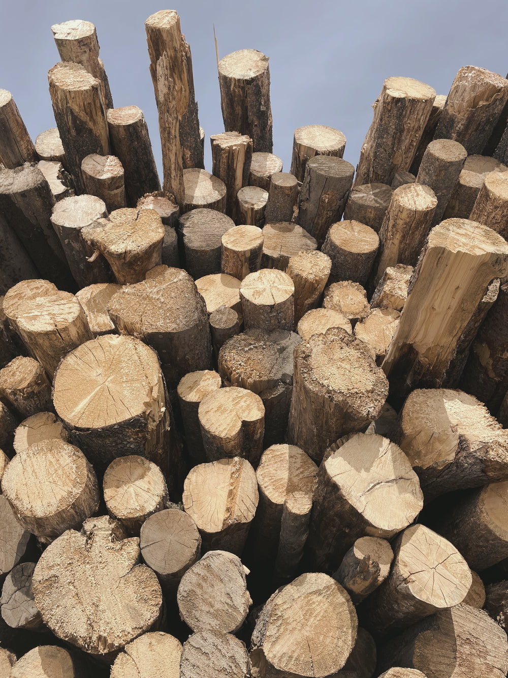 Southern Wood Supply